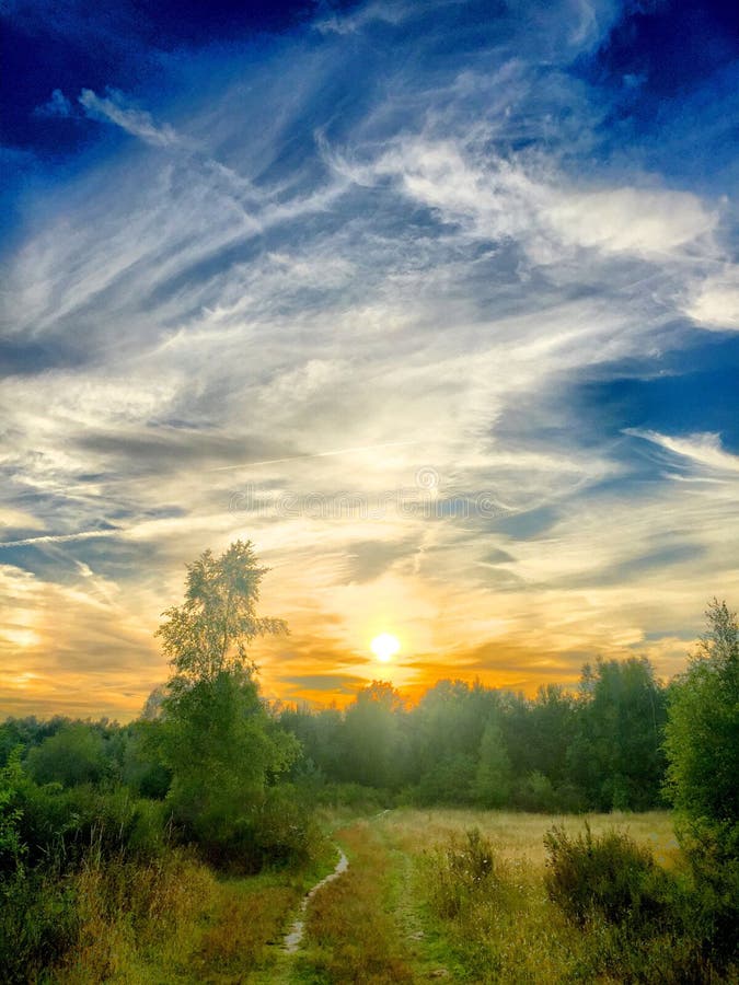 Beautifull Sunset Over a Forest Stock Photo - Image of cloud, grey ...