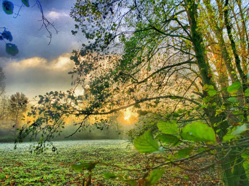 Beautifull Sunset Over a Forest Stock Photo - Image of natural, green ...