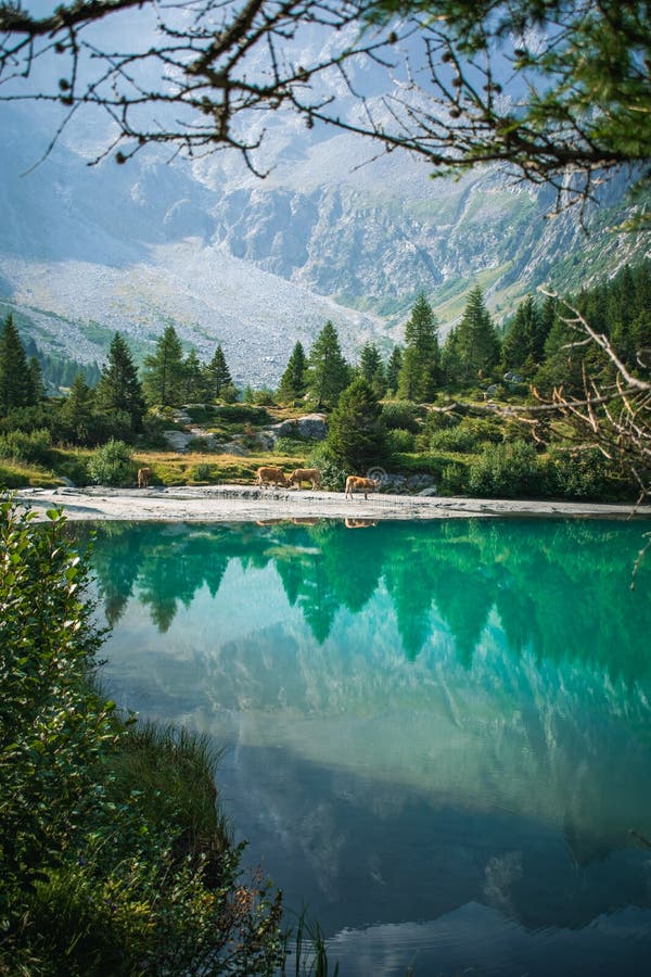 A Beautifull View on the Aviolo Lake. Stock Photo - Image of blue ...