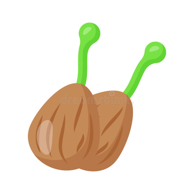 Beautifully Designed Icon of Capers, Vegetarian Food Stock Vector ...