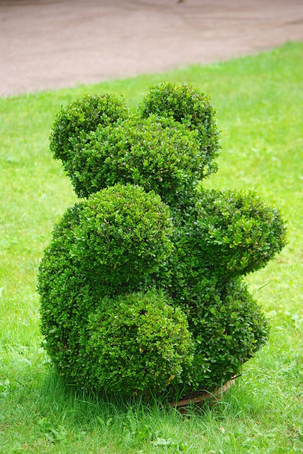 Beautifully Manicured Park Plant. Stock Image - Image of gardening ...