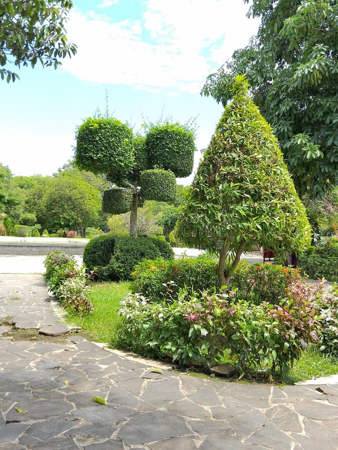 Beautifully Shaped Garden Trees As a Backdrop Stock Image - Image of ...
