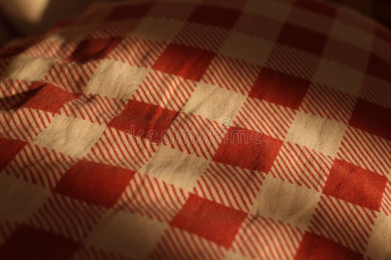 A Beautifully Textured Fabric that Features a Checkered Pattern in Red ...
