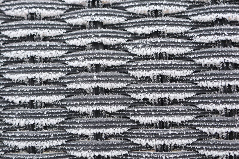 A Beautifully Textured Surface Adorned with Intricate Patterns and ...