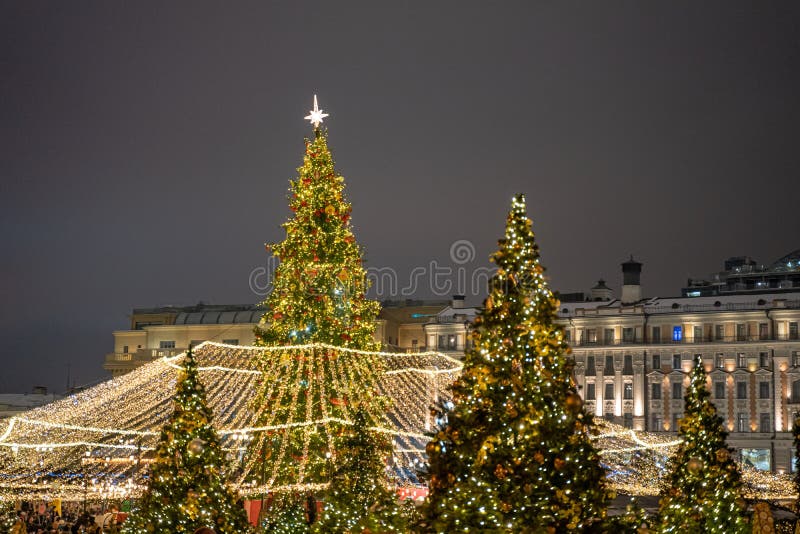Beautifuly Decorated Christmas Tree in the City at Night Stock Photo ...