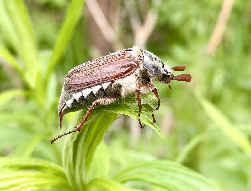 Beautify and technology stock image. Image of technology - 186714283