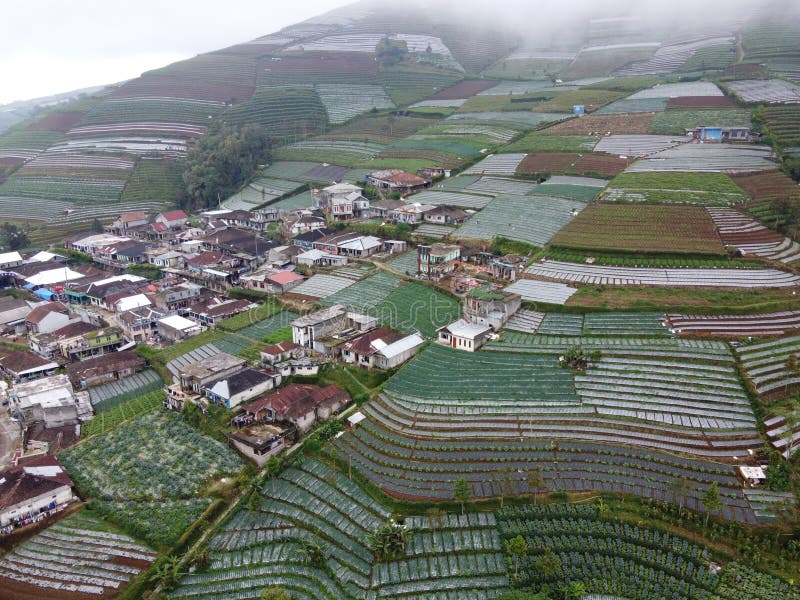 The Beauty of the Architecture of the Arrangement of Terraced Houses of ...