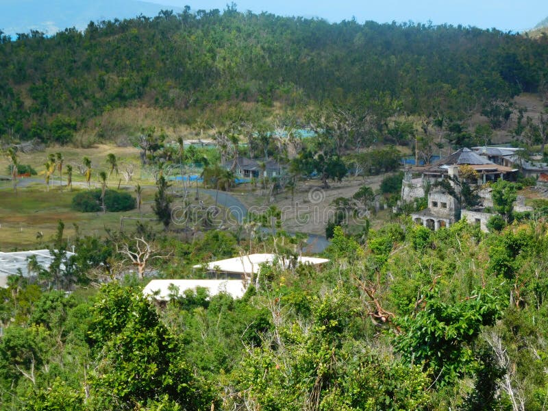 St. Thomas Virgin Islands Beauty Behind the Trees Stock Photo - Image ...