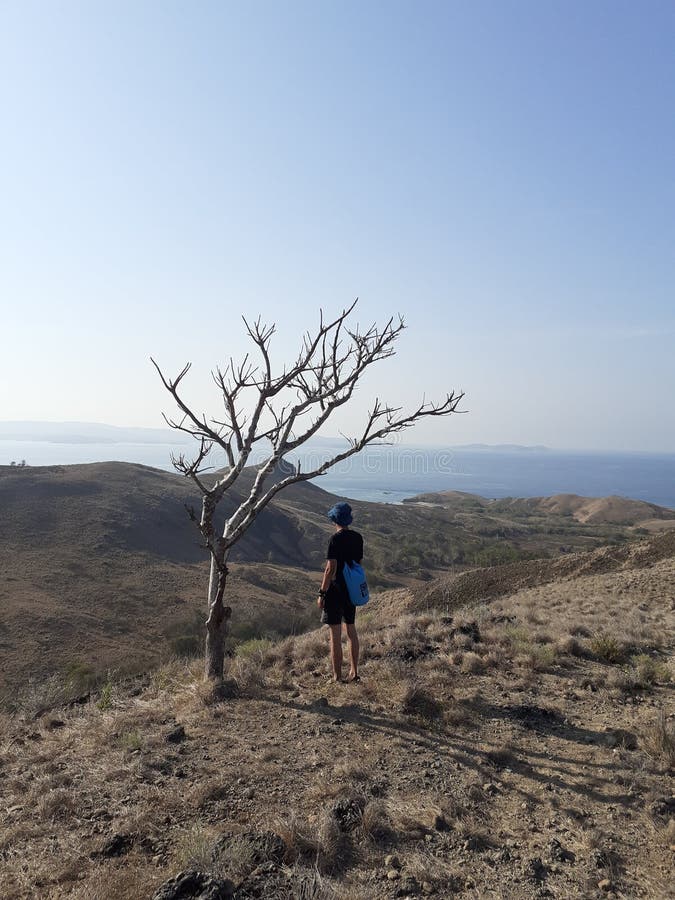 The Beauty of Bima, Indonesia Editorial Photography - Image of beauty ...