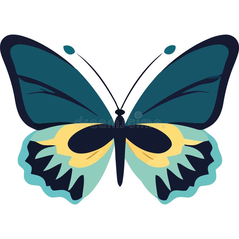 Beauty Blue Butterfly with Wings Open Stock Vector - Illustration of ...