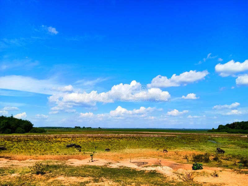 Beauty Blue Sky from Indonesian Stock Image - Image of land, beauty ...