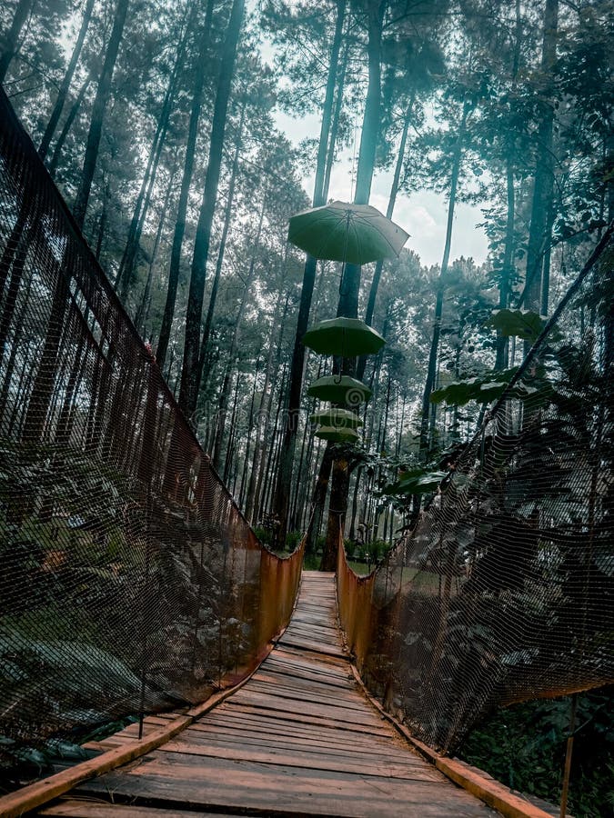 The Beauty of the Bridge in the Recreation Park Stock Photo - Image of ...