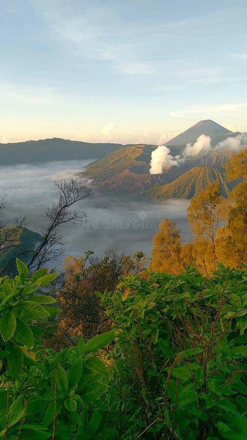 The Beauty of the Bromo Mountains in the Summer on a Sunny Morning ...