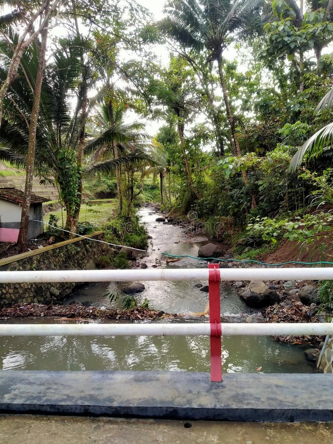 The Beauty of the Cipanas River Stock Image - Image of wetland, park ...