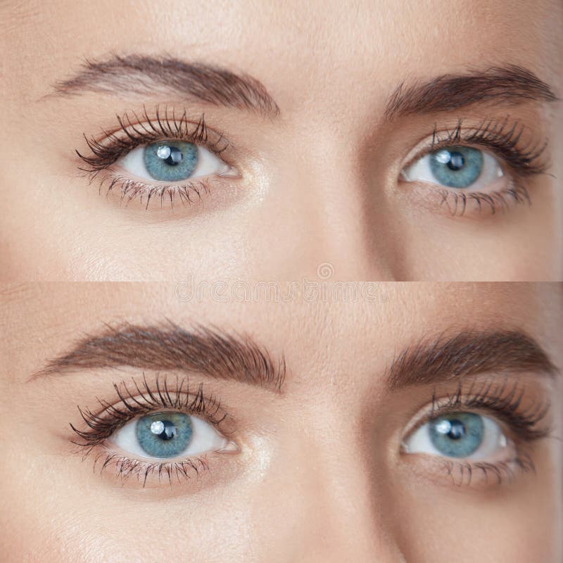 Beauty. Close Up Womanâ€™s Eyebrows before and after Microblading Stock ...