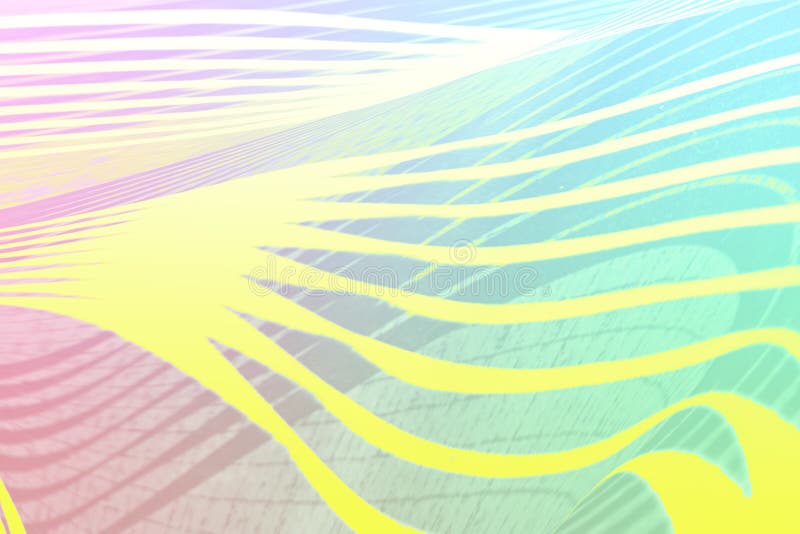 Beauty Colorful Multi Lines Abstract Curve Shape Background Modern ...