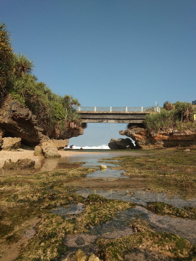 The Beauty of the Coral Reef Scenery in Indonesia is Unquestionable ...