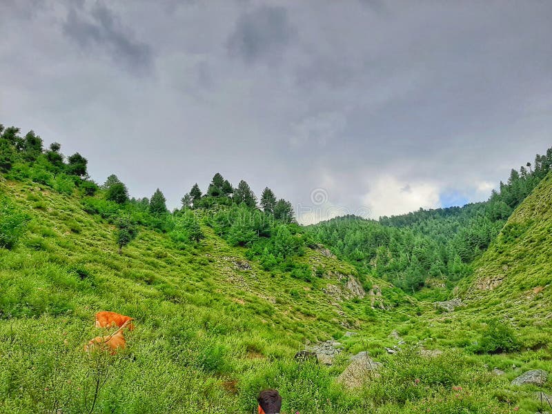 Beauty of Dir Upper Pakistan N Stock Photo - Image of landscape, beauty ...