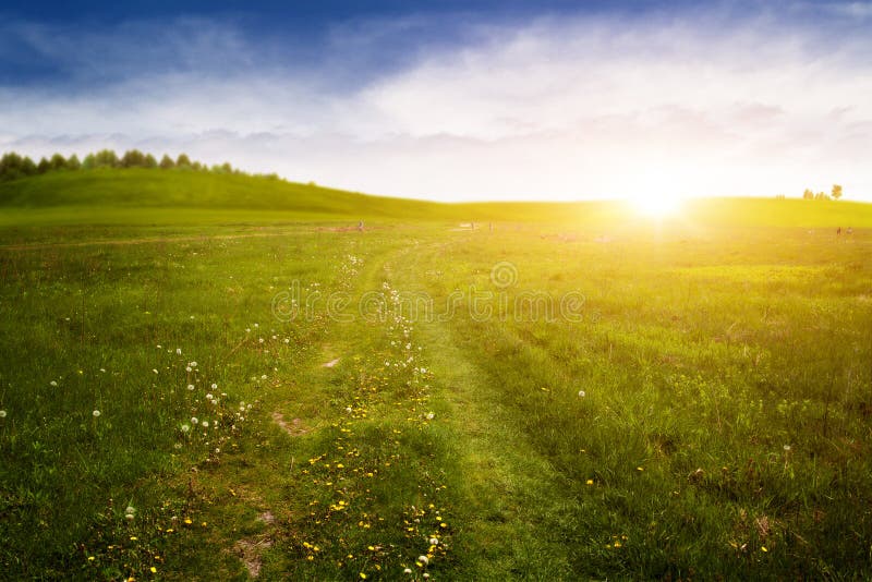 Beauty Evening on the Meadow with Country Lane Stock Photo - Image of ...