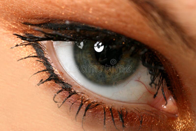 Pupil of human eye stock image. Image of optical, veins - 10160109