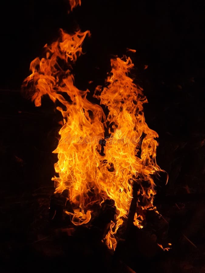 The Beauty of Fire on a Cold Night Stock Image - Image of night, quail ...