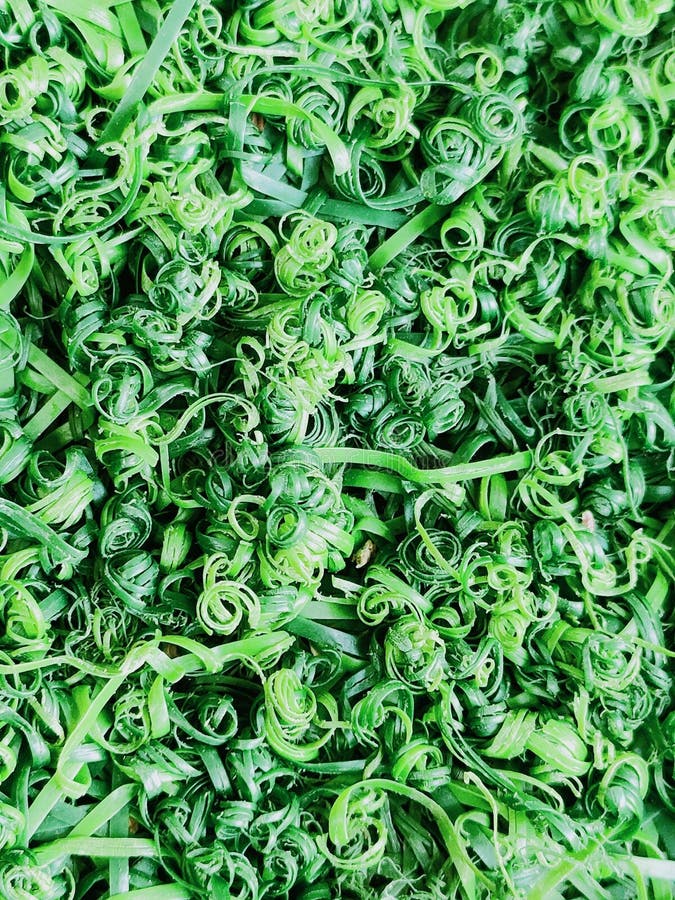 Synthetic grass stock image. Image of beauty, grass - 331839701