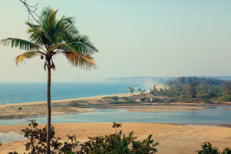 Beauty of Goa Nature with Palm Trees and Beach Stock Photo - Image of ...
