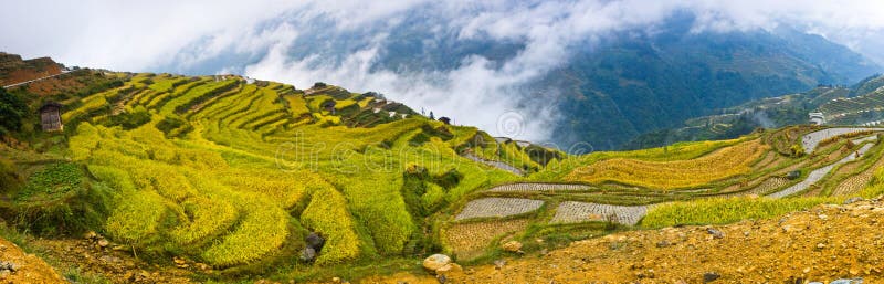 The Beauty of Hani Terrace 1# Stock Photo - Image of rice, guizhou ...