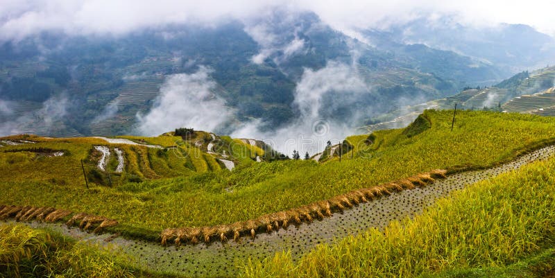The Beauty of Hani Terrace 2# Stock Image - Image of sightseeing ...