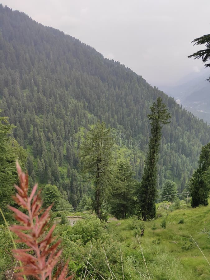 Beauty of himachal pardesh stock image. Image of land - 227126405