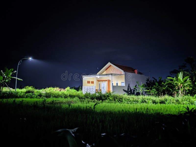 House in the Middle of the Rice Fields at Night Stock Image - Image of ...