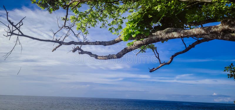 Beauty Indonesian Sea Scenery and Branches of Tree Stock Image - Image ...