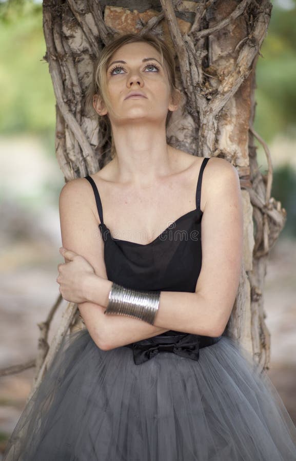 Beauty, Lady, Photo Shoot, Girl Stock Photo - Image of gown, dress ...