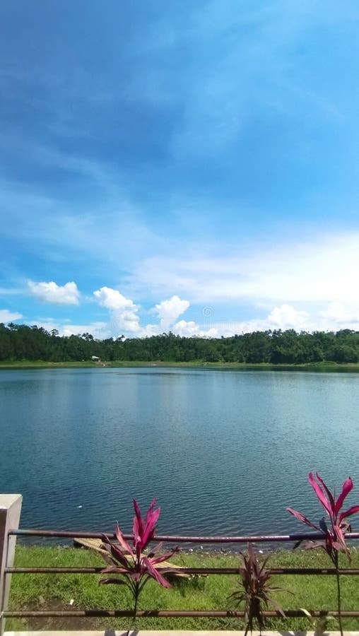 The Beauty of Lakes in a Small Part of Indonesia Stock Image - Image of ...