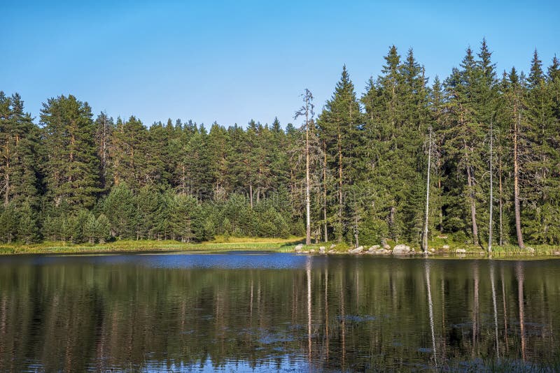 Beauty Landscape at Mountain Lake with Calm Water, Tree Reflection and ...