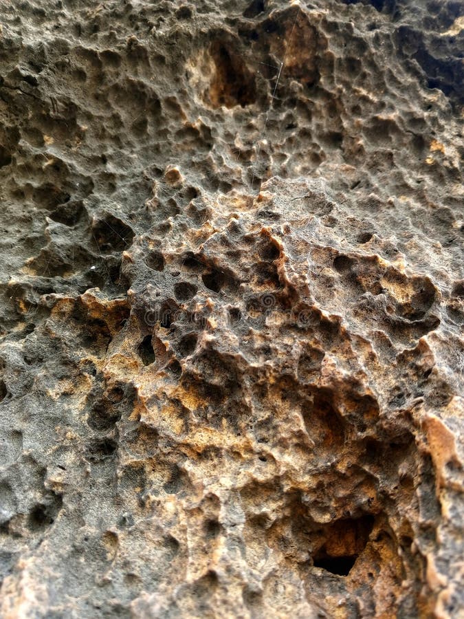 The Beauty of Layers of Rock with Holes on the Beach on August Stock ...