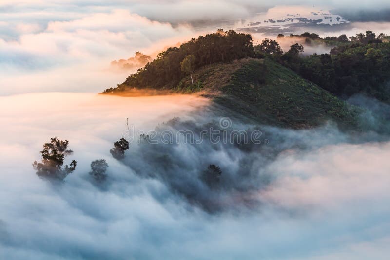 The Morning Fog on the Mountain. Stock Photo - Image of tree, outdoor ...