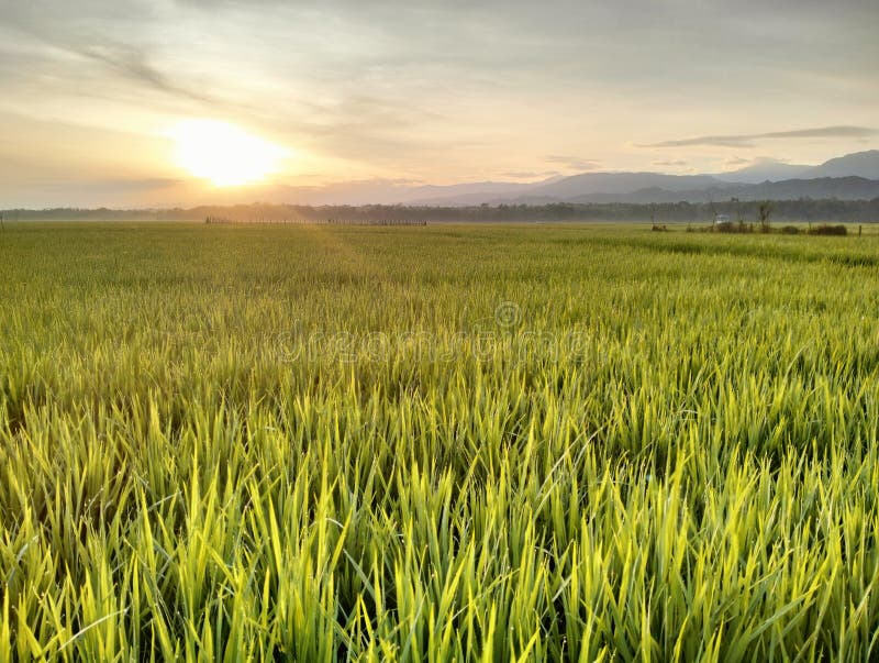 The Beauty of the Morning Sun from the Corner of the House Stock Photo ...