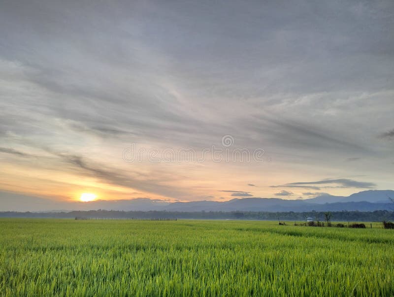 The Beauty of the Morning Sun from the Corner of the House Stock Image ...