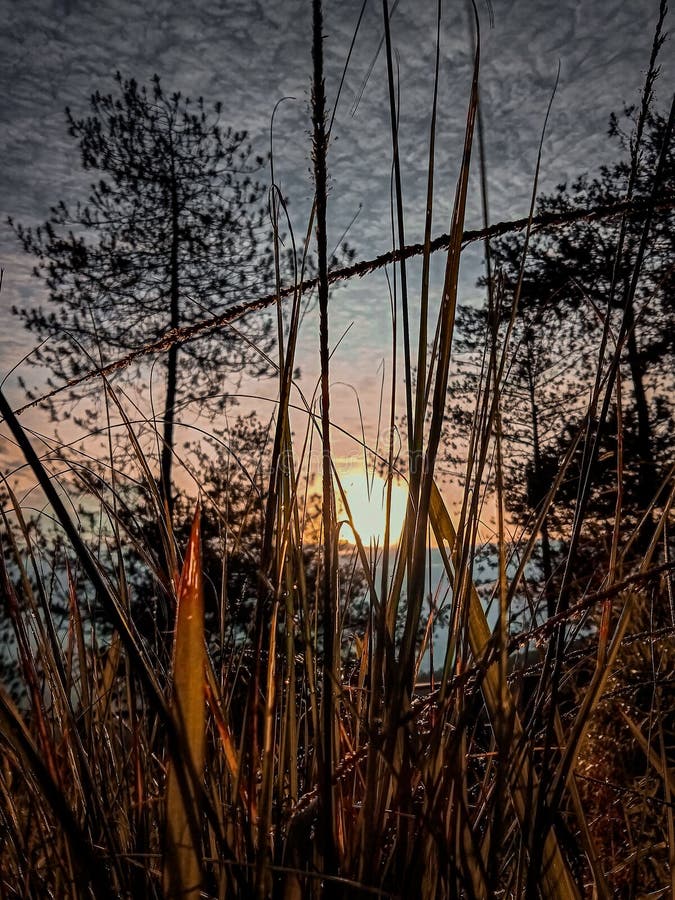 The beauty of the morning stock photo. Image of morning - 240578994