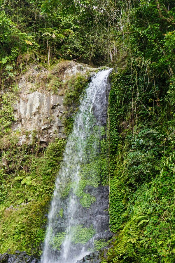 The Beauty of Muntu Waterfall in Banyumas Regency Stock Image - Image ...