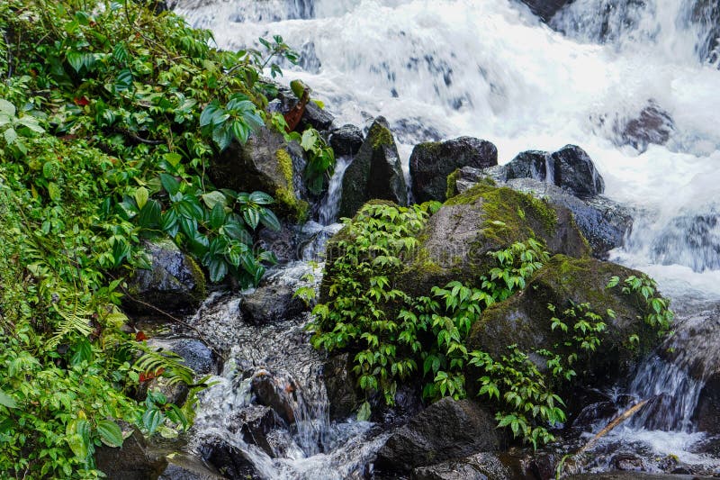 The Beauty of Muntu Waterfall in Banyumas Regency Stock Image - Image ...