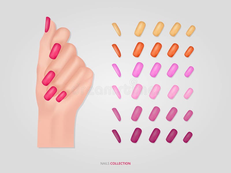 Beauty and Nails Vector Illustration Stock Vector - Illustration of ...