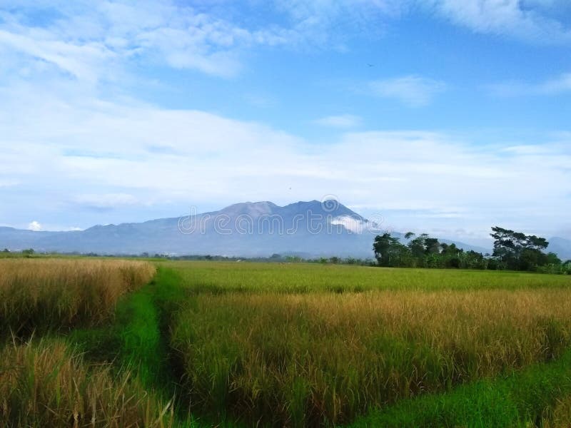 The Beauty of the Natural Scenery on Such a Sunny Day Stock Photo ...