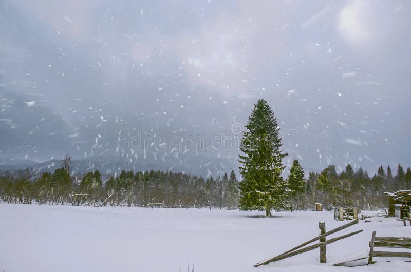 The Beauty of Nature, Boundless Stock Image - Image of beauty, rivers ...