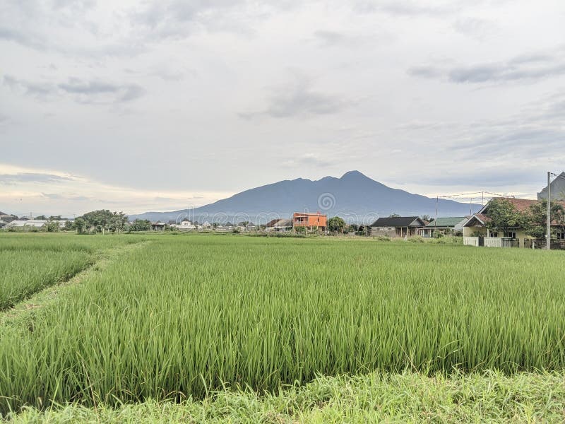 The Beauty of a Mountain in a Village in the City of Bogor Stock Photo ...