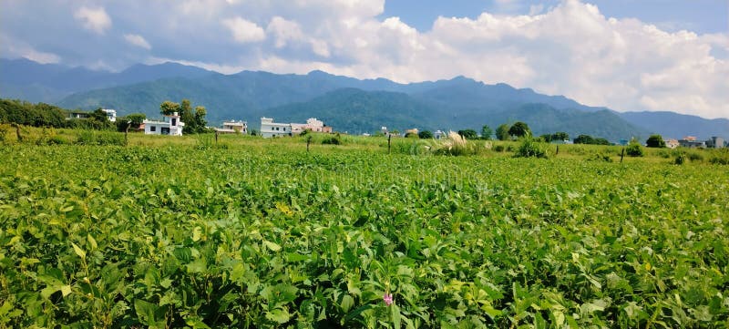 Pahado Hils Stock Photos - Free & Royalty-Free Stock Photos from Dreamstime