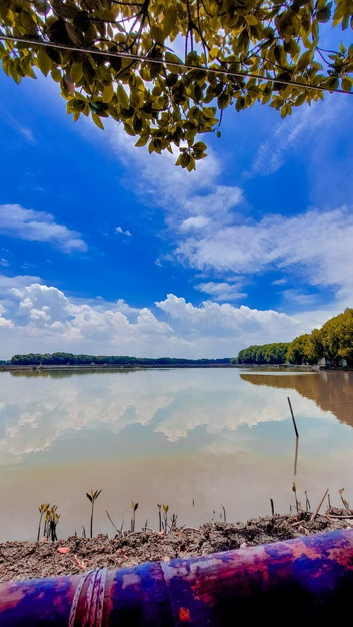 The Beauty of Nature and Rivers are so Beautiful, with Lush Trees Stock ...
