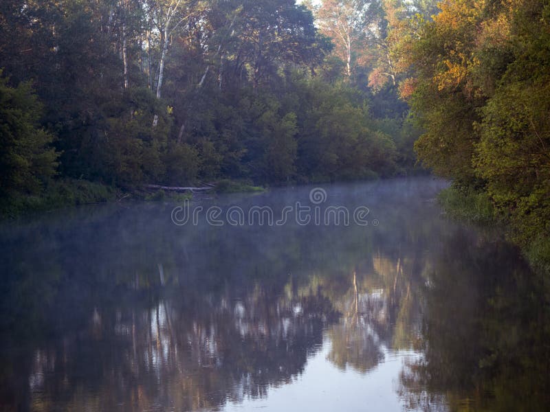 Twisting River Flows between Trees Stock Photo - Image of beauty ...