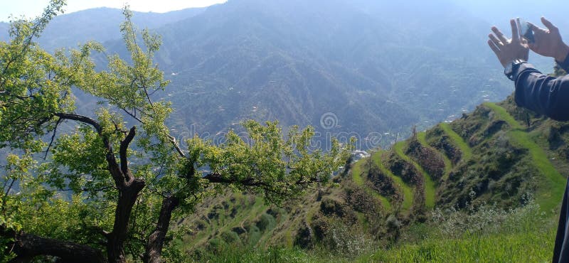 Beauty of Nature Beauty of Swat Spring Start Stock Photo - Image of ...